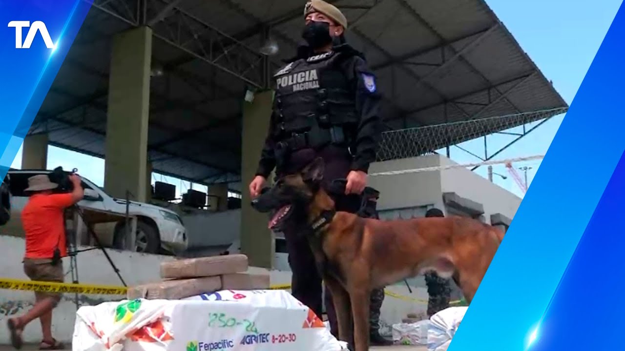 Policía decomisó más de dos toneladas de droga en contenedores