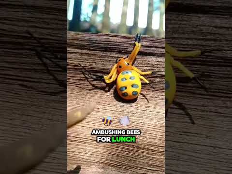 3 Animals That Steal to Survive! #AnimalFacts #Wildlife #Nature #AnimalThieves #viralvideo