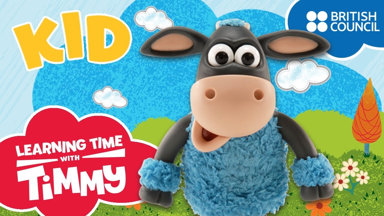 Meet Kid | Learning Time with Timmy | Cartoons for Kids