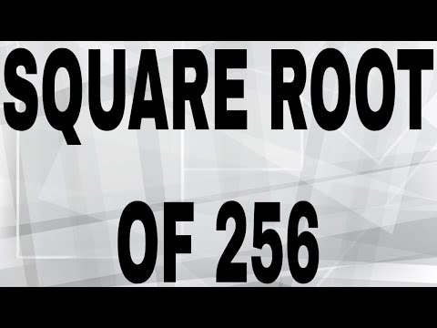 SQUARE ROOT OF 256
