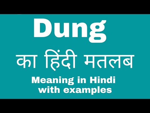 Dung Meaning in Hindi/ Dung ka kya Matlab Hota hai