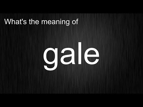 What's the meaning of "gale", How to pronounce gale?