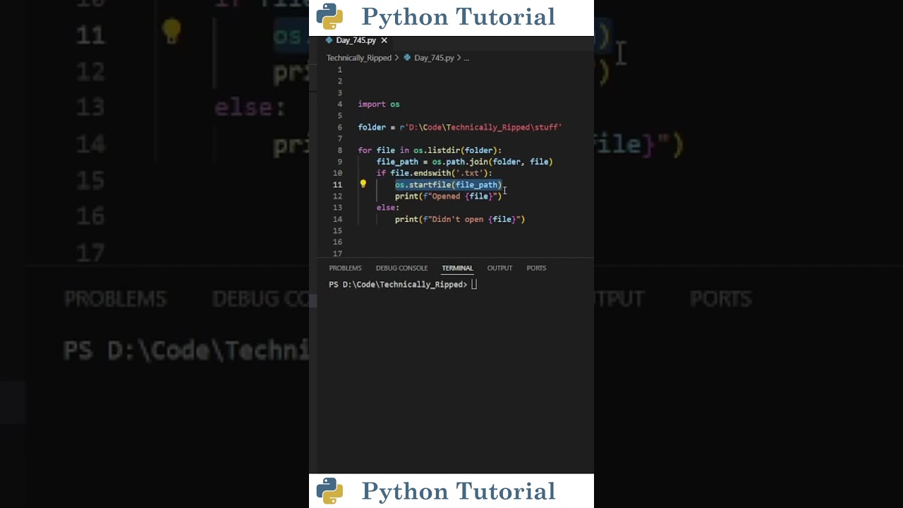 Batch Open Files With One Python Command | Python Tutorial