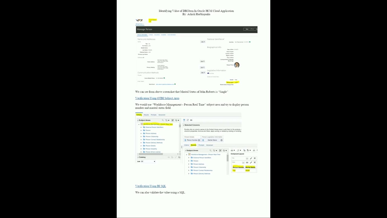Identifying Value of DBI Item In Oracle HCM Cloud Application