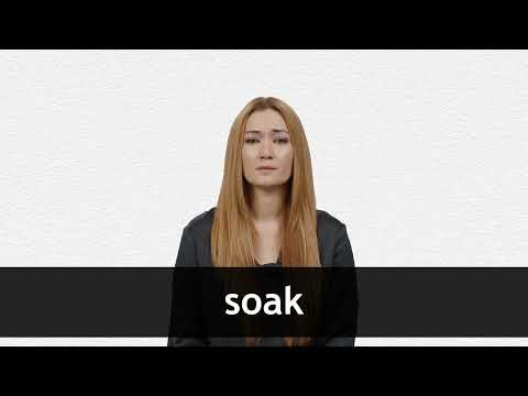 SOAK definition and meaning | Collins English Dictionary