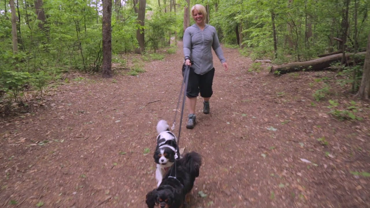Livonia Parks and Recreation Promo