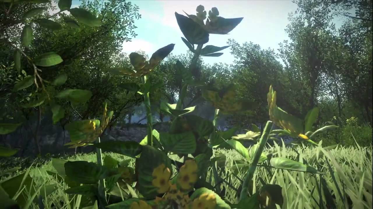 Far Cry 3 Launch Trailer