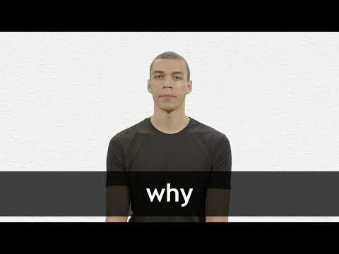 WHY definition and meaning | Collins English Dictionary