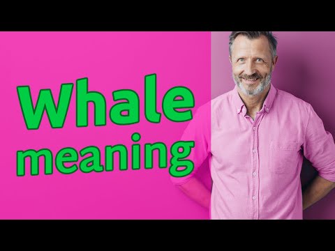 Whale | Meaning of whale 📖