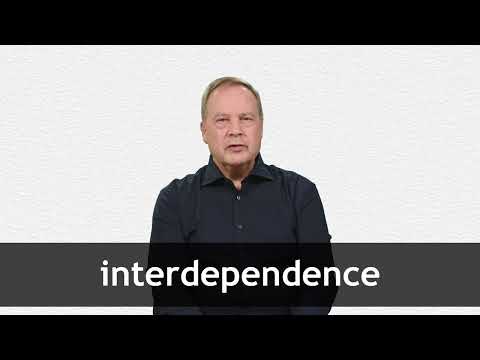 INTERDEPENDENCE 释义 | 柯林斯英语词典