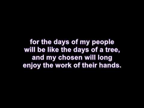 Isaiah 65:17-25 World English Bible