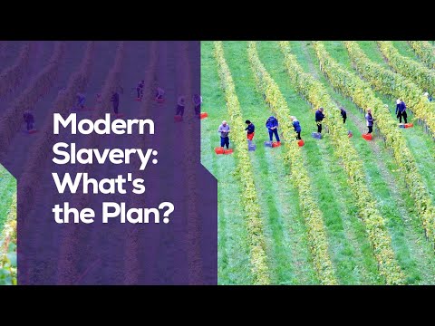 Modern Slavery: What's the Plan?