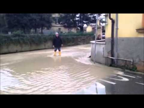 Video002