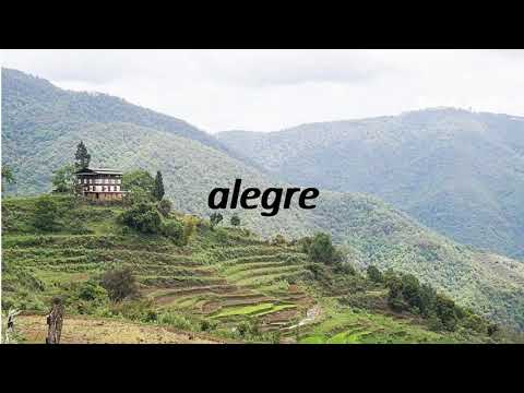 How to say cheerful in Spanish? alegre