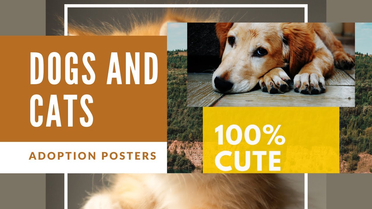 Cats and dogs posters creation | cute posters