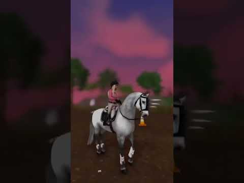 #sso #starstableonline #starstable #funny #horse #horses #horseriding #edit #phonk #fyp #youtube