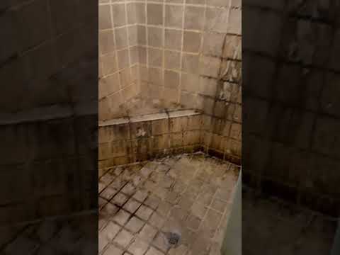 Watch this "No Way!" shower tile cleaning for home in Chicago
