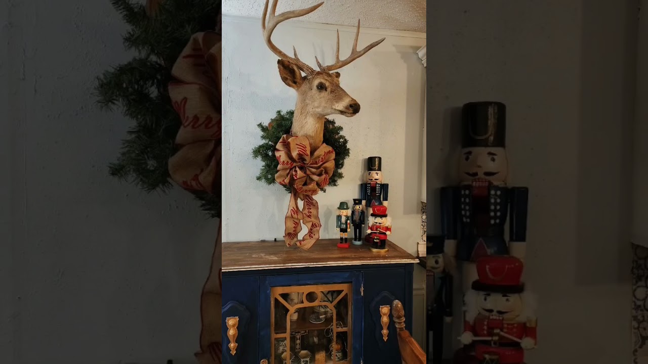 Nutcracker Christmas #cats #christmas #nutcrackers #christmasdecor  #homefortheholidays #catintree