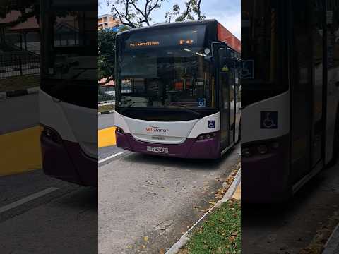 Cameo! SBS Transit on Service 147 Scania K230UB Euro 4 Reburished SBS8249Z with red wheel nuts