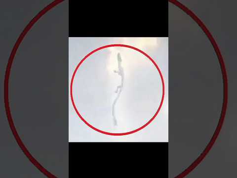 Coatyl Dragon Real Life #shorts #viral #dragon