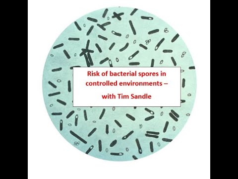 Bacterial spores and the risk to our environment