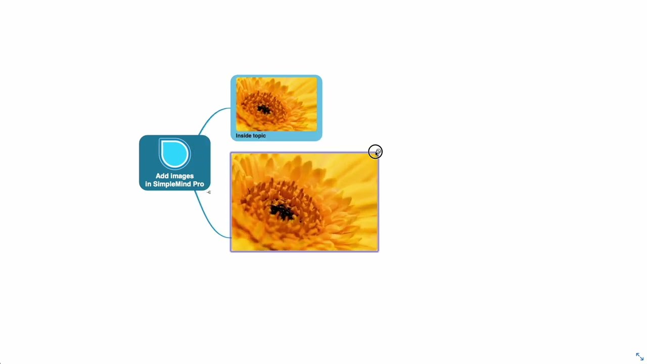 Add images to your SimpleMind Mind Map