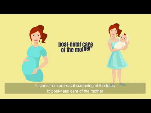What is Obstetrics?