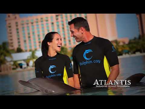 Atlantis Welcome Video Nassau Airport