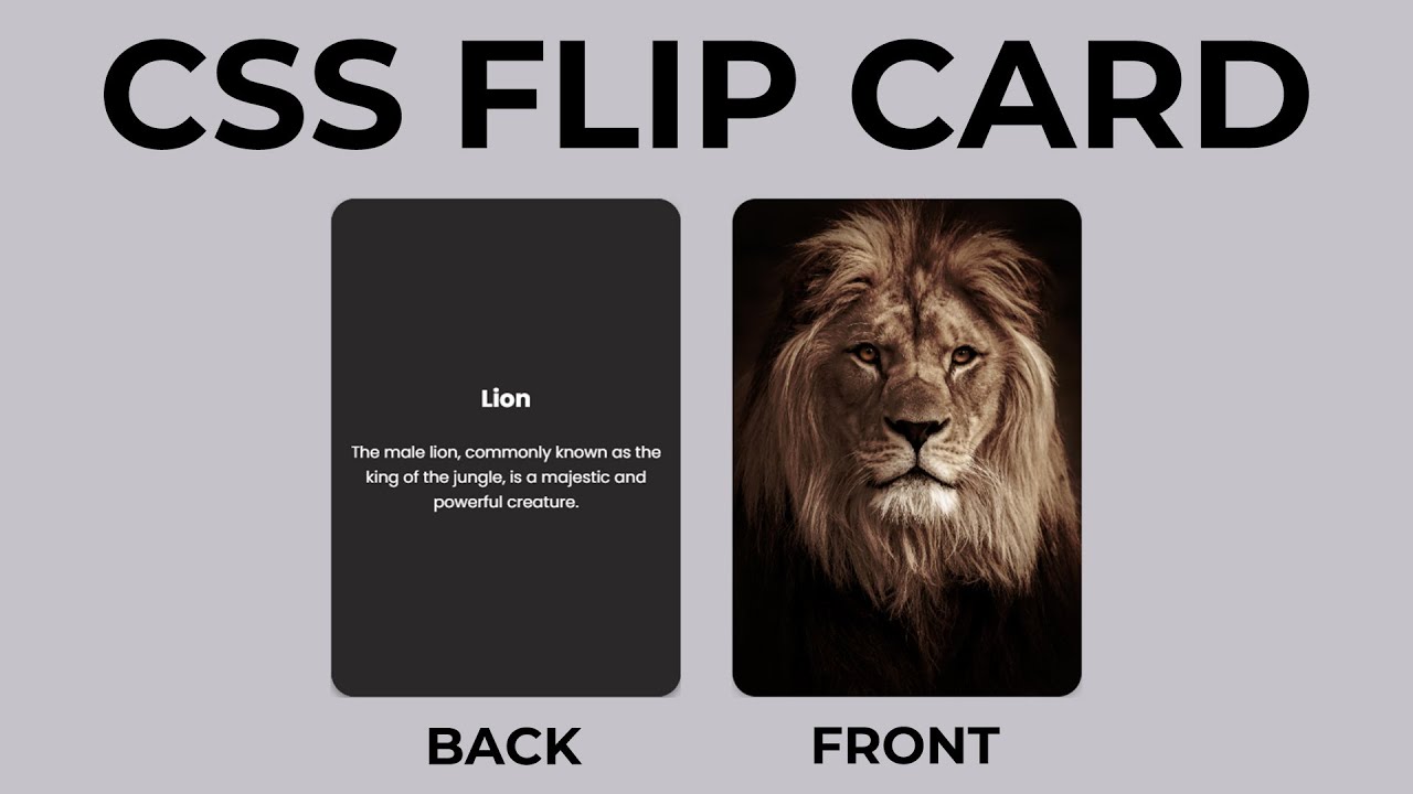 Animated Flip Card | HTML & CSS