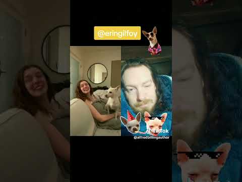 Erin Gilfoy Birthday Dog TikTok #ErinGilfoy #Erin #dogsoftiktok #june30 #dogshorts #shorts