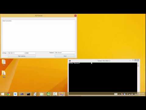 Demo TCP/IP Sending(Write) Data From Server To Client