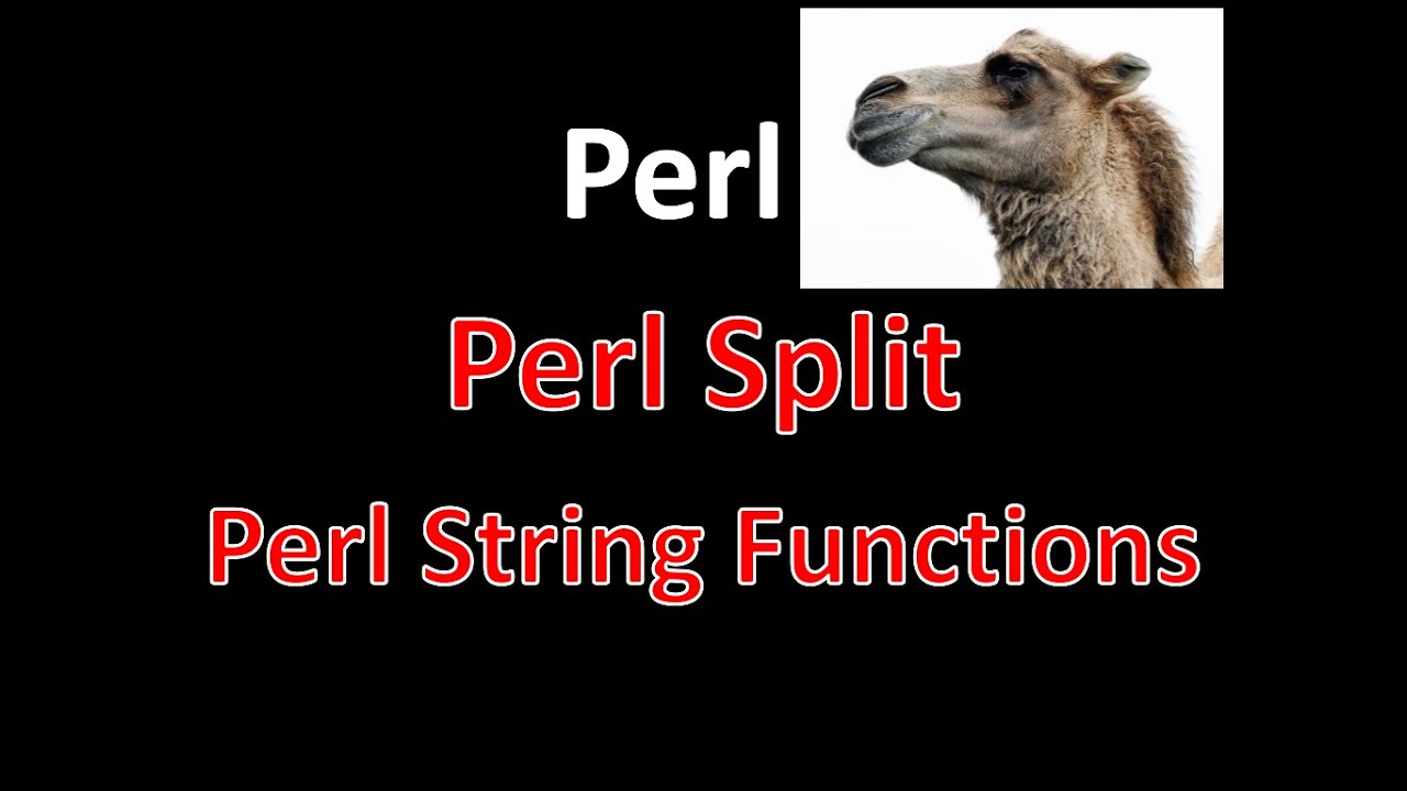 Perl String Functions - Perl Split, Perl Join Strings, Perl Reverse a String | Perl Scripting | Perl