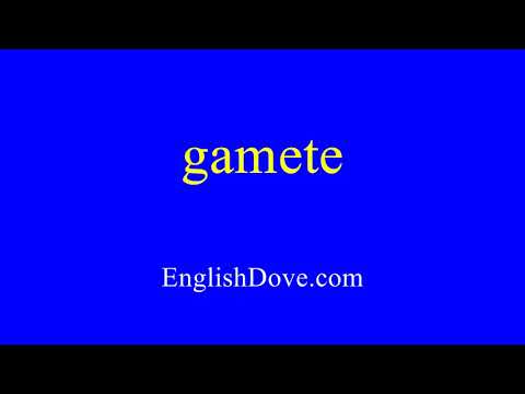 How to pronounce gamete in American English