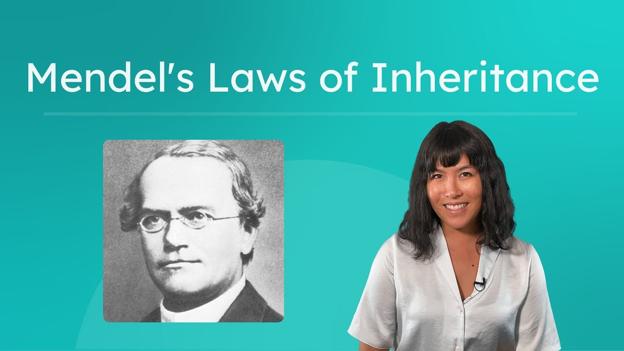 Mendel's Laws of Inheritance - Understanding Dominant and Recessive Traits