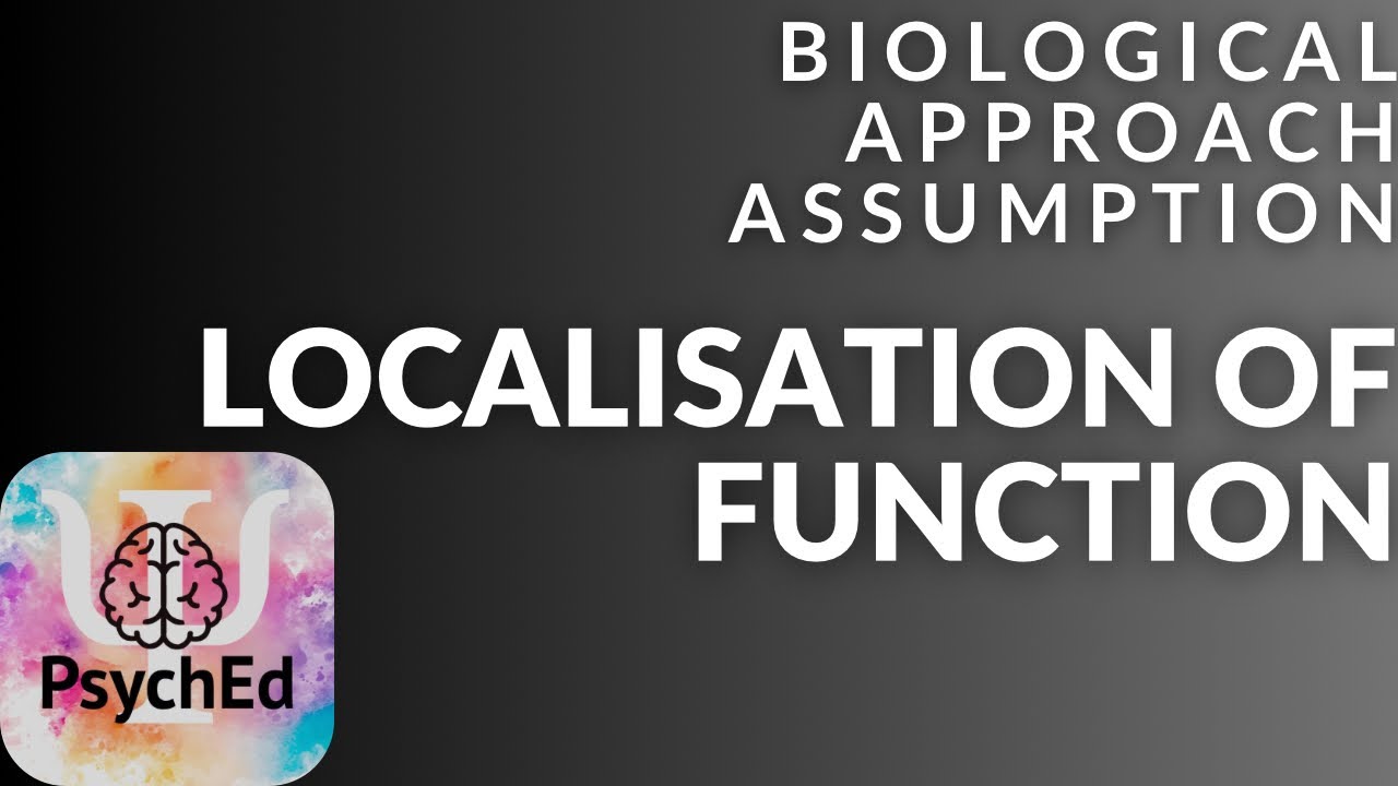 Biological approach assumption - Localisation of function