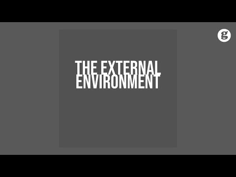 The External Environment