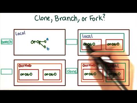 Learn Forking a Repository Solution How to Use Git and GitHub - Mind Luster