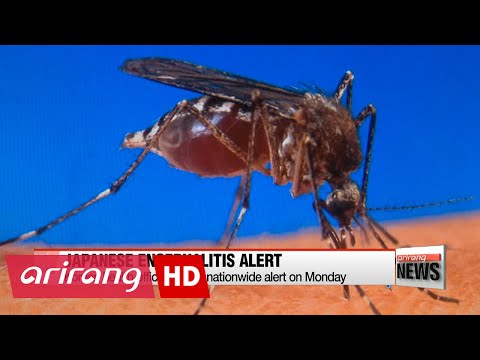 Nationwide watch issued for Japanese encephalitis