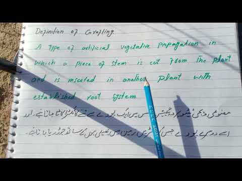 What Is Grafting | Plant Grafting Meaning | definition Grafting