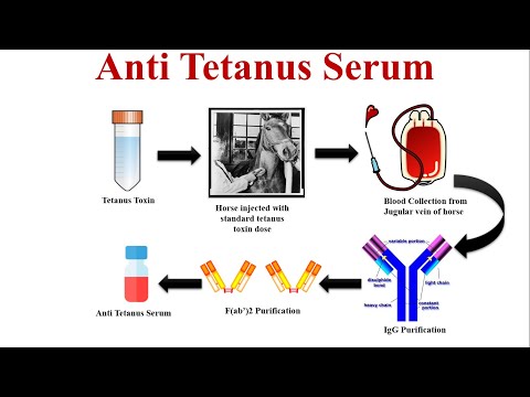 Anti-Tetanus Serum || Tetanus Antisera || How it Works and Why You Need It