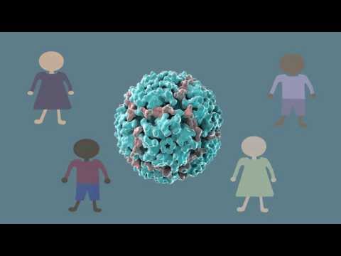 For Polio, Two Vaccines Are Better than One