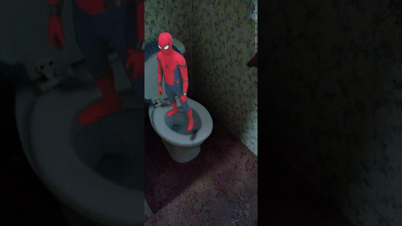 Spider-Man potty training