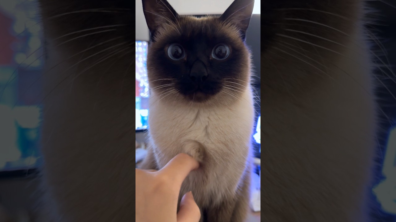 Carefully Calculated All The Factors 😂