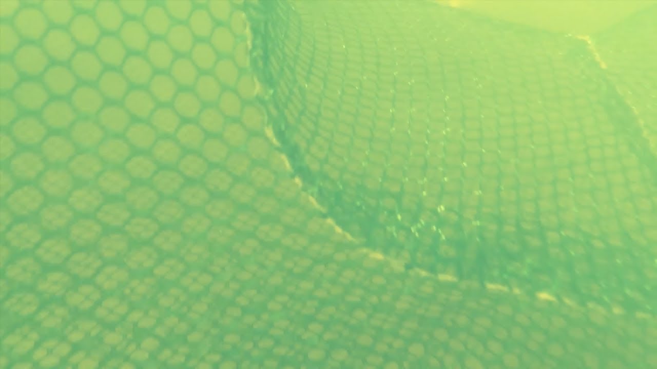 Home - Short Film - Mobile Film Festival 2018