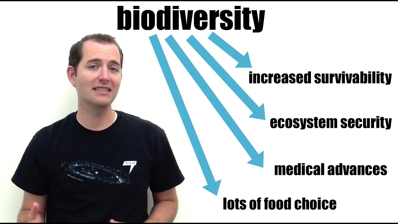 Introduction to Biodiversity