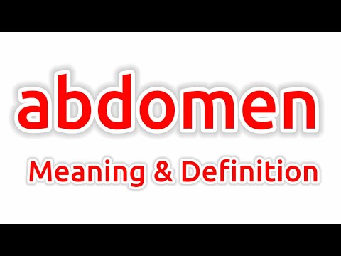 Abdomen Meaning | Abdomen Meaning In English | Meaning Of Abdomen | What Is The Meaning Of Abdomen