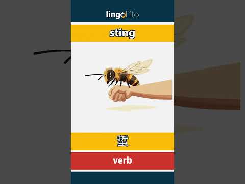 🇬🇧🇨🇳 sting - 蜇 : learn English : 让我们学习英语 : vocabulary builder