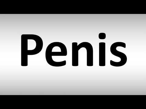 How to Pronounce Penis