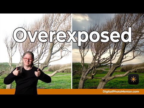How to Salvage an Overexposed Image With Luminar Neo