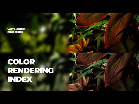 What is CRI - Color Rendering Index? | Bulb Series